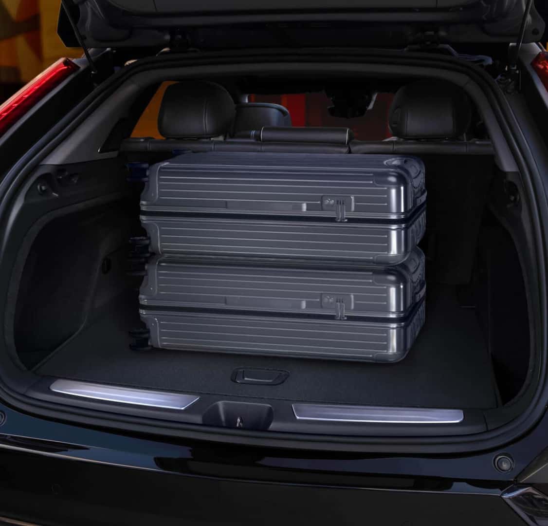 2025 Cadillac OPTIQ Interior Dimensions, Colors & Tech