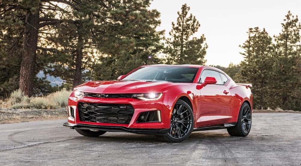 Proud to Offer the 2017 Camaro | Car Dealership Near Colonie, NY