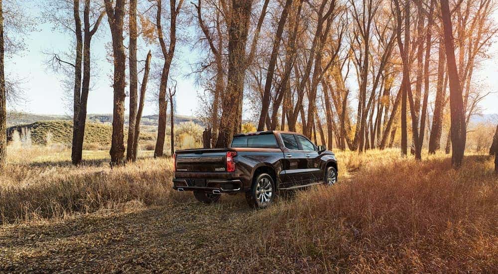 From Then to Now: Tracking the Evolution of the Chevy Silverado 1500 ...