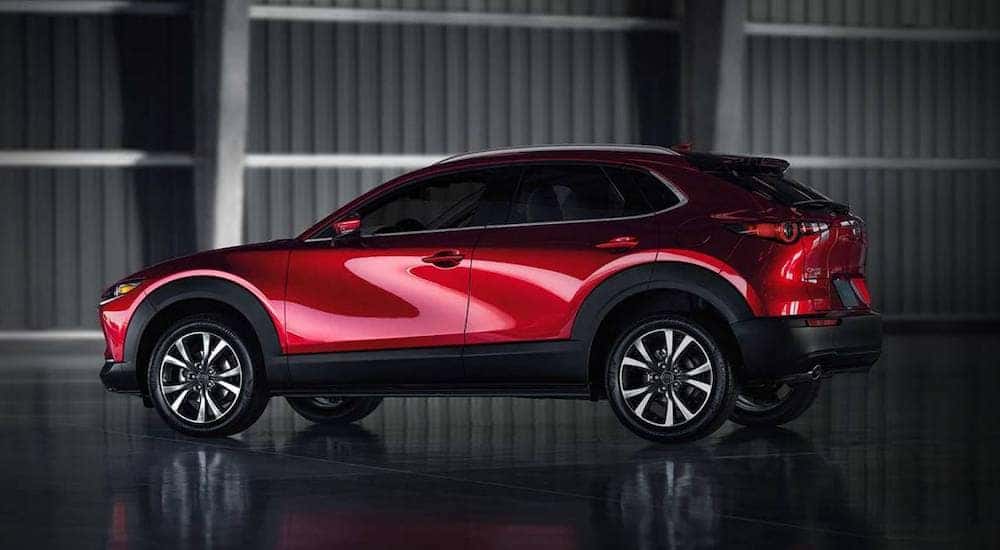 Shopping for a Crossover SUV on a Budget? Check Out These Great Pre ...