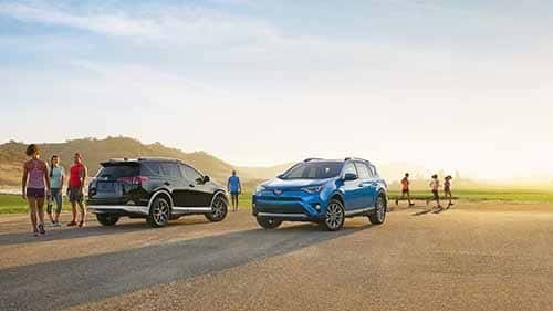 2017 Toyota RAV4 Trim Levels | Earl Stewart Toyota
