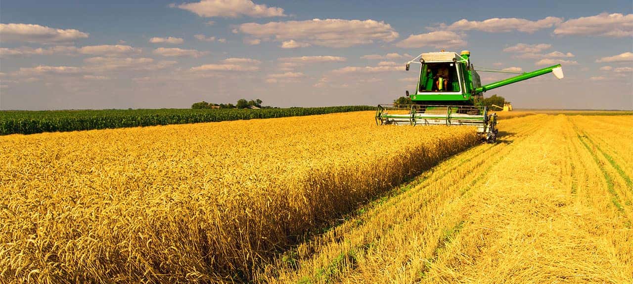 Help Around The Farm | Ferguson Superstore