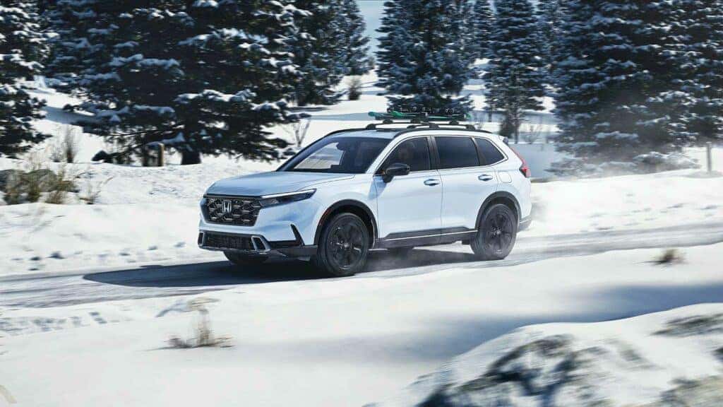 Fisher Honda's 2024 Automotive Lineup Excels in Different Aspects of ...