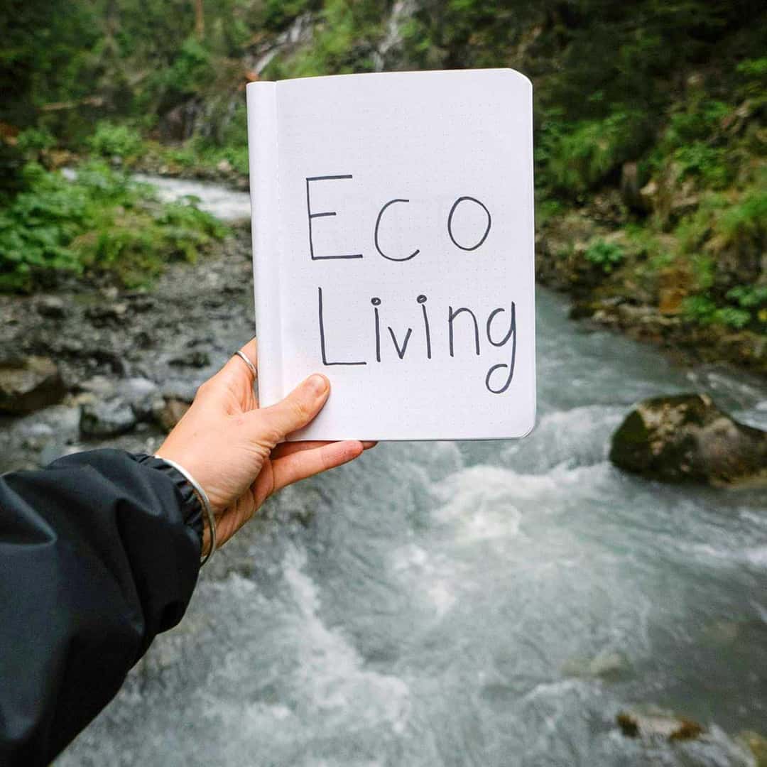 Drive Green, Drive Honda: Eco-Friendly Choices - Fisher Honda Dealership