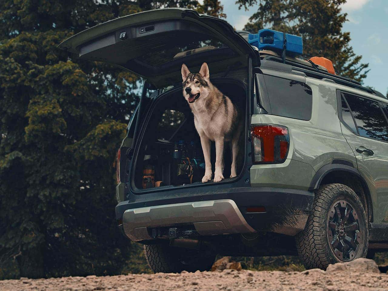 26 Honda Passport 🏆 Adventure Vehicle of the Year - Boulder, CO Honda