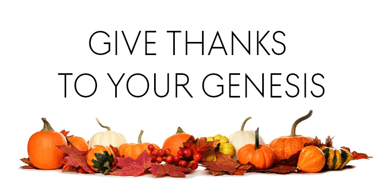 How to Give Thanks to Your Genesis | Genesis of Schaumburg
