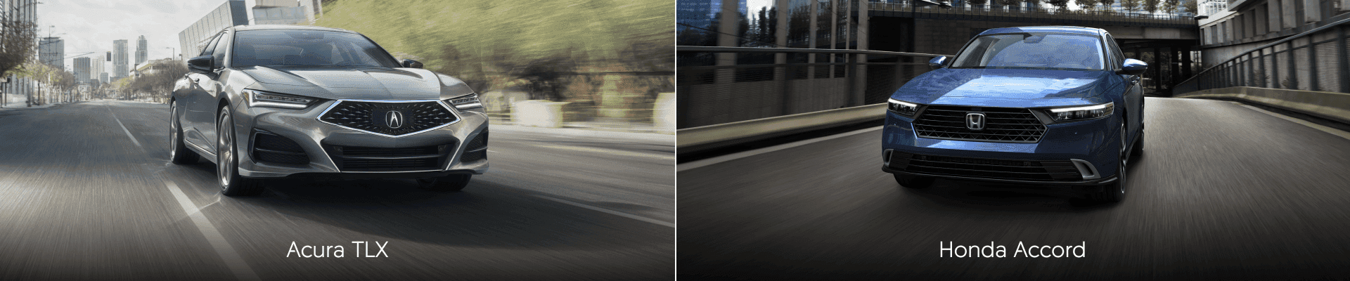 2024 Acura TLX Vs. 2024 Honda Accord: Dimensions, MPG & More