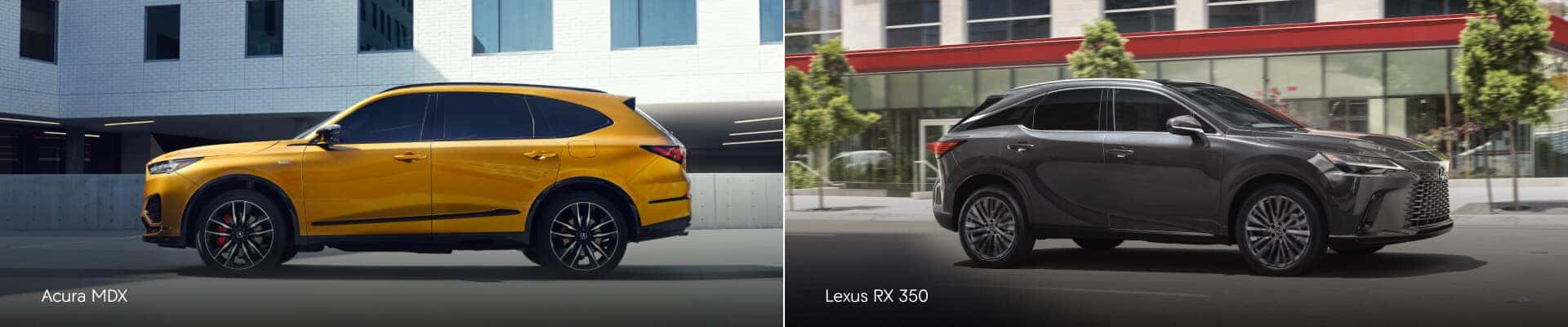 2024 Acura MDX Vs. Lexus RX 350: Luxury SUV Comparison