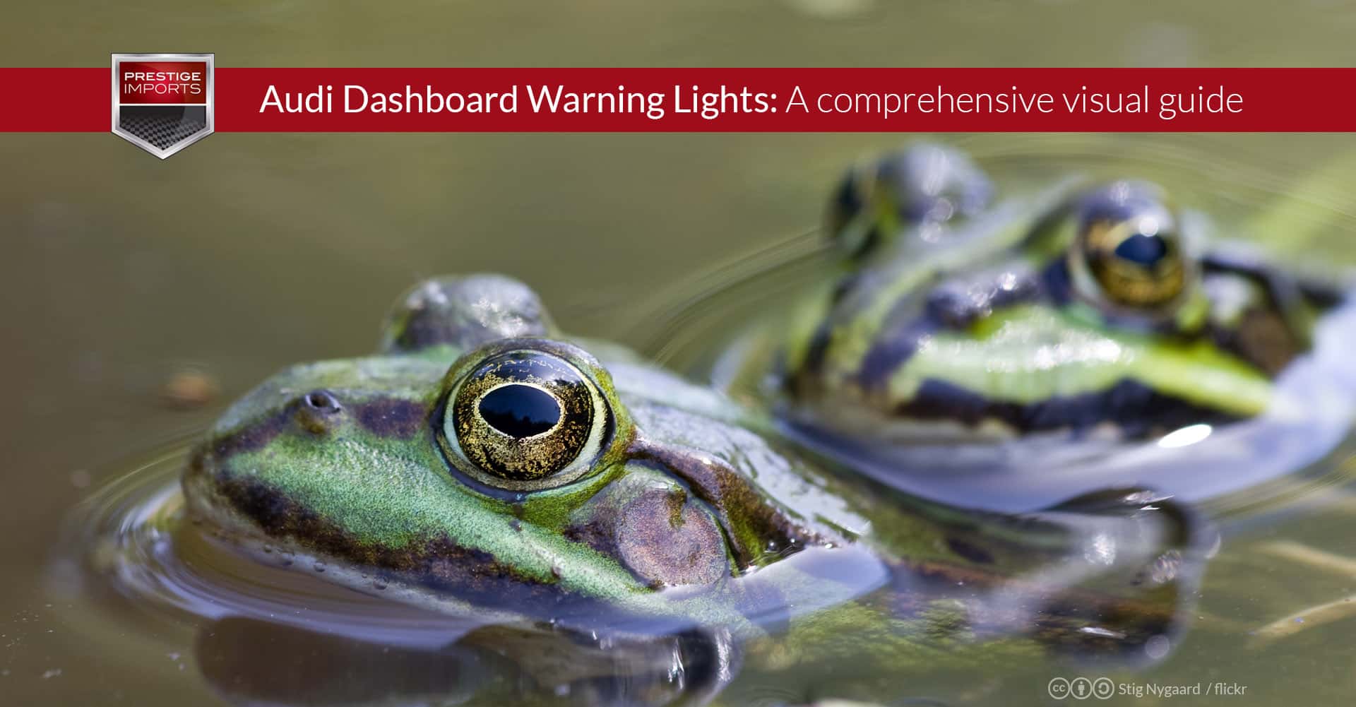 Audi Dashboard Warning Lights: A comprehensive visual guide