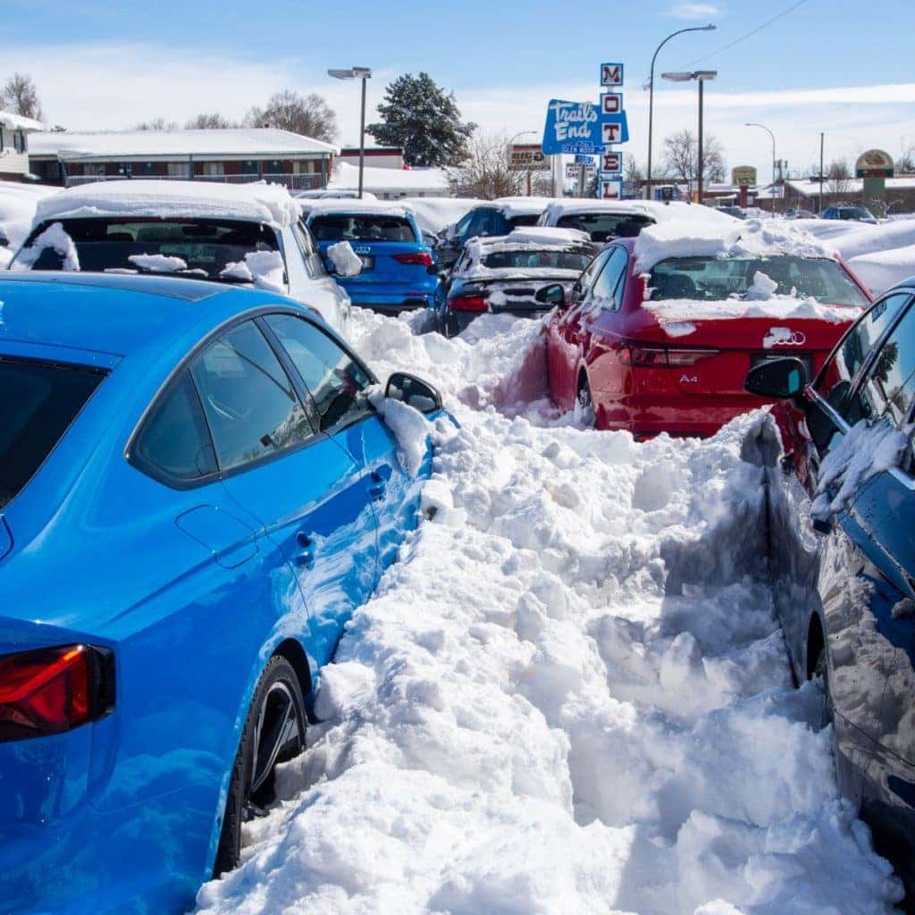 Snowmageddon 2021: Prestige Imports digs out