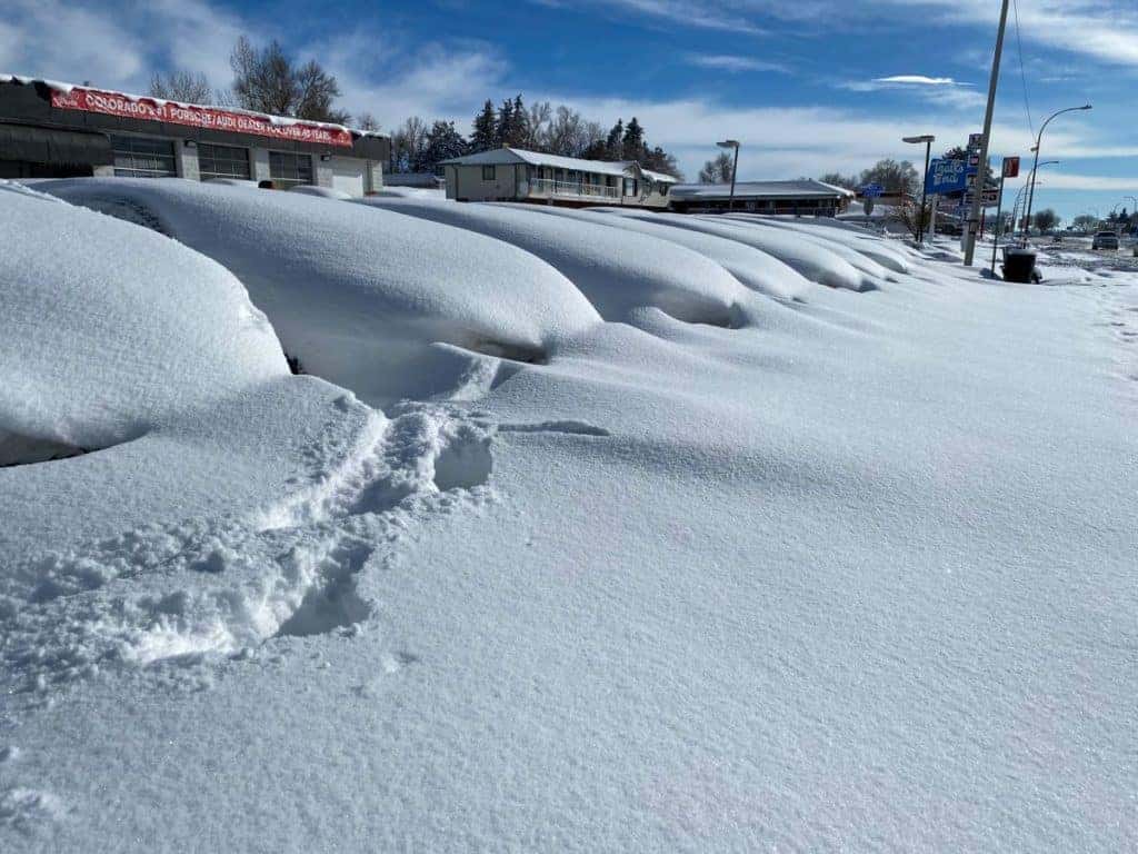 Snowmageddon 2021: Prestige Imports digs out