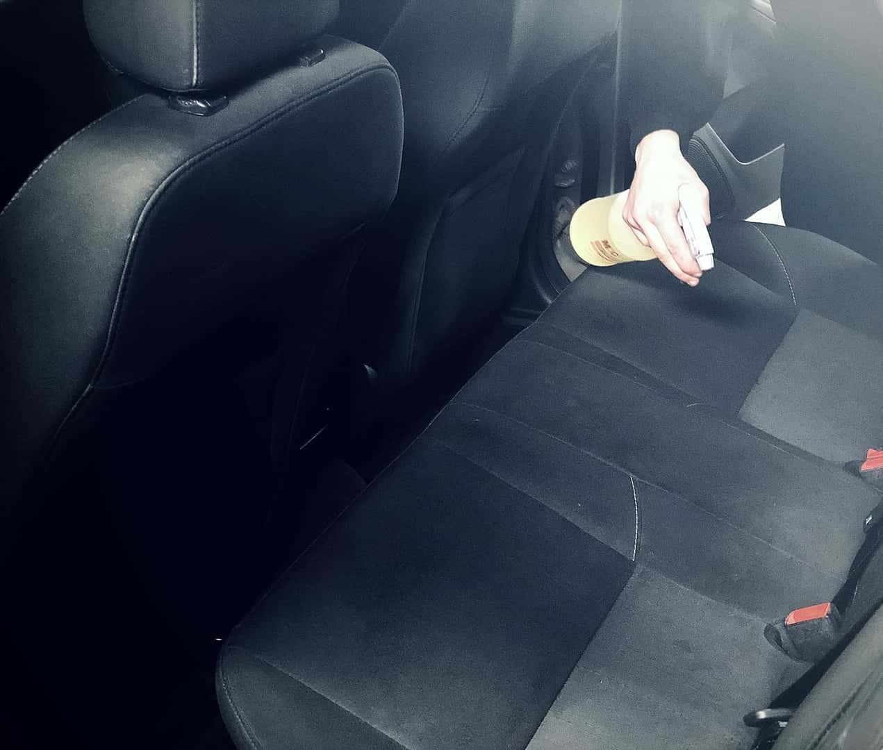 How to Get Rid of Car Mold in College Place | Car Mold Removal